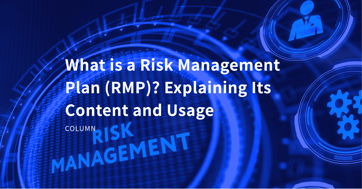 What is a Risk Management Plan (RMP)? Explaining Its Content and Usage ...